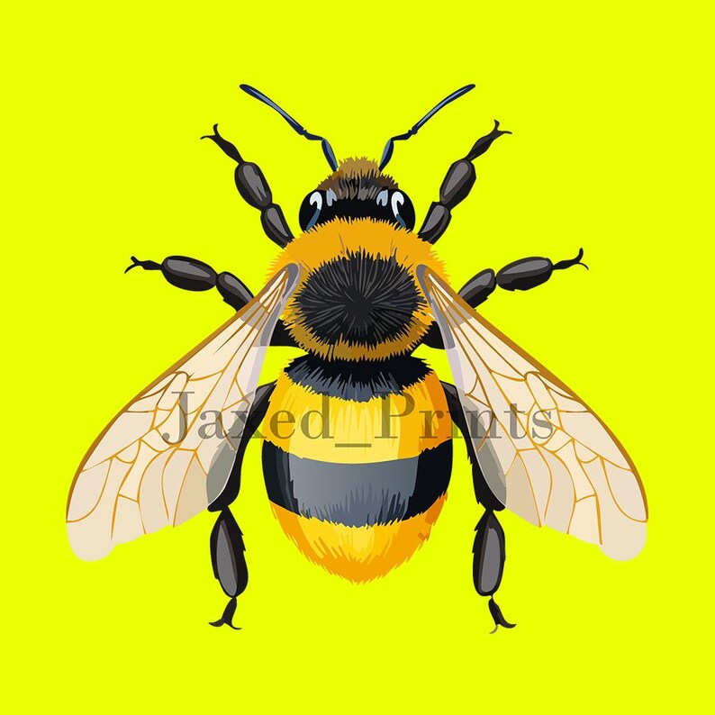 Realistic Bumblebee Clipart - High Resolution Insect SVG PNG JPG | 300 ...