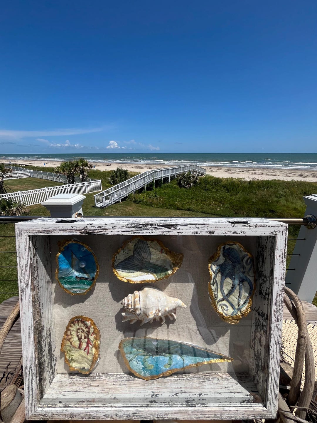 Sea Spell Relic – Gilded Oyster Shell and Conch Shadow Box, Hand ...