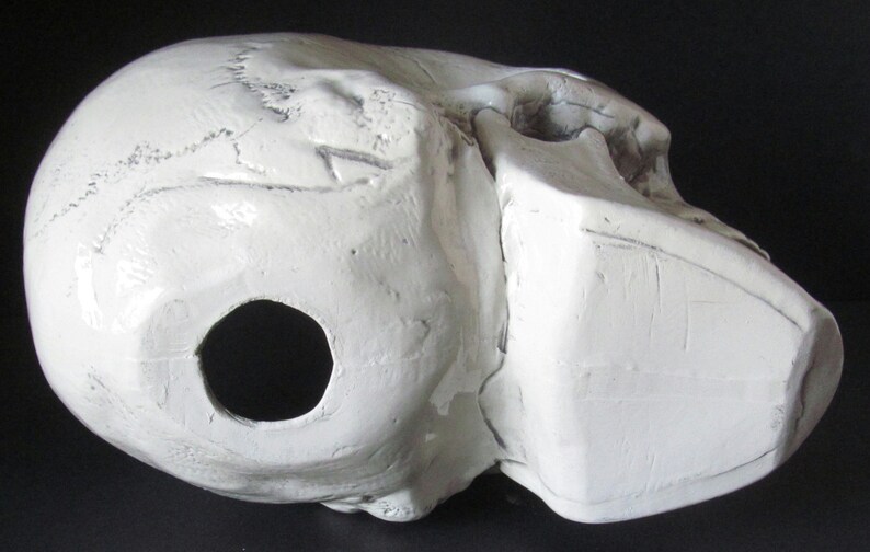 Ceramic Aquarium Decoration Large Skull | Etsy