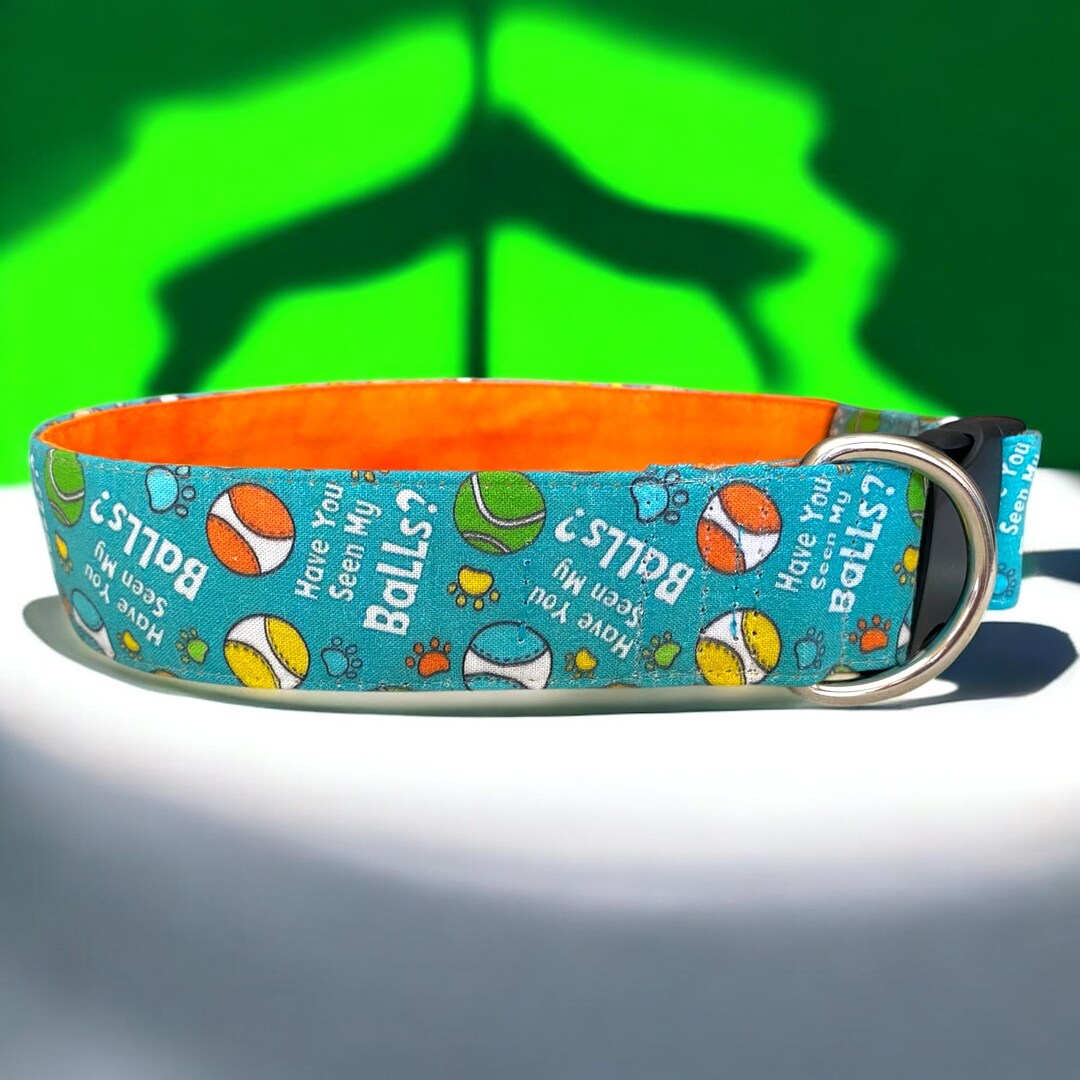 Have You Seen My Balls Dog Collar - Etsy