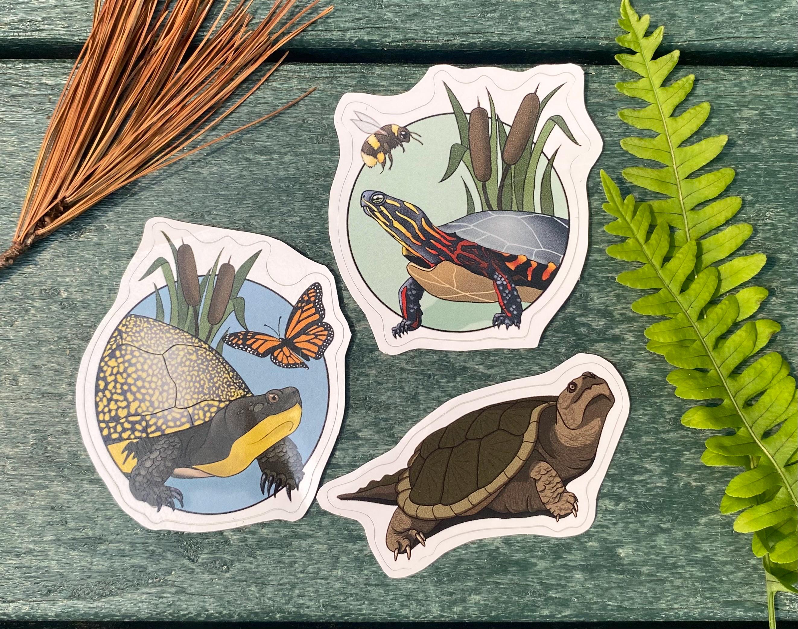 Ontario Turtles 3 Waterproof Sticker Pack for Waterbottles, Blandings ...