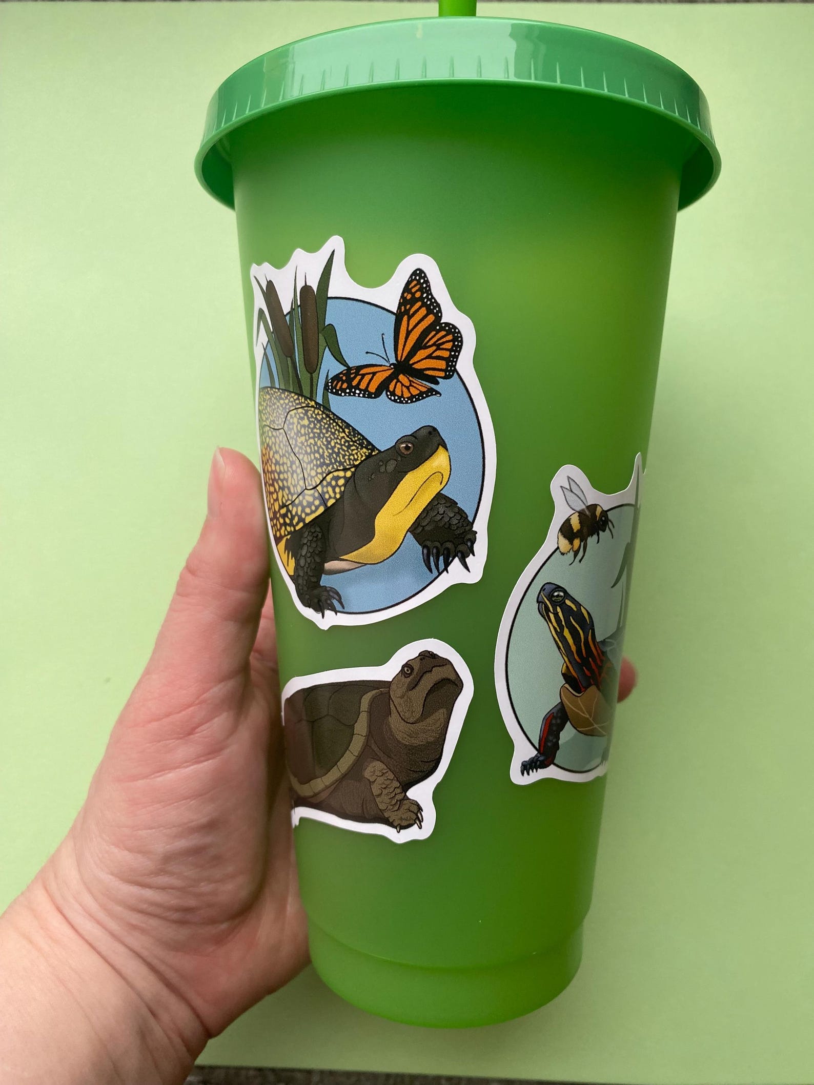 Ontario Turtles 3 Waterproof Sticker Pack for Waterbottles, Blandings ...