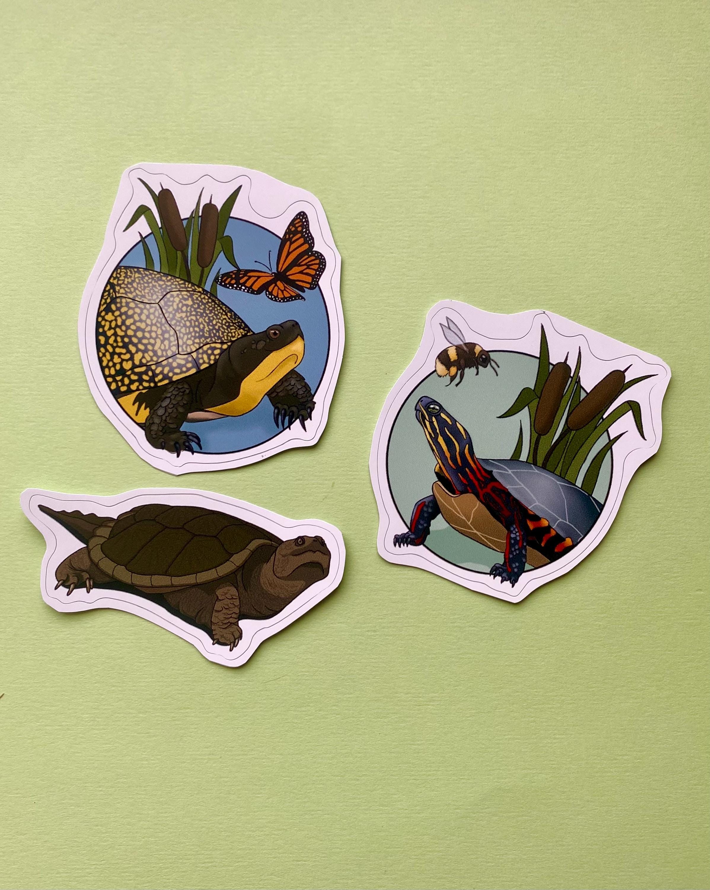 Ontario Turtles 3 Waterproof Sticker Pack for Waterbottles, Blandings ...