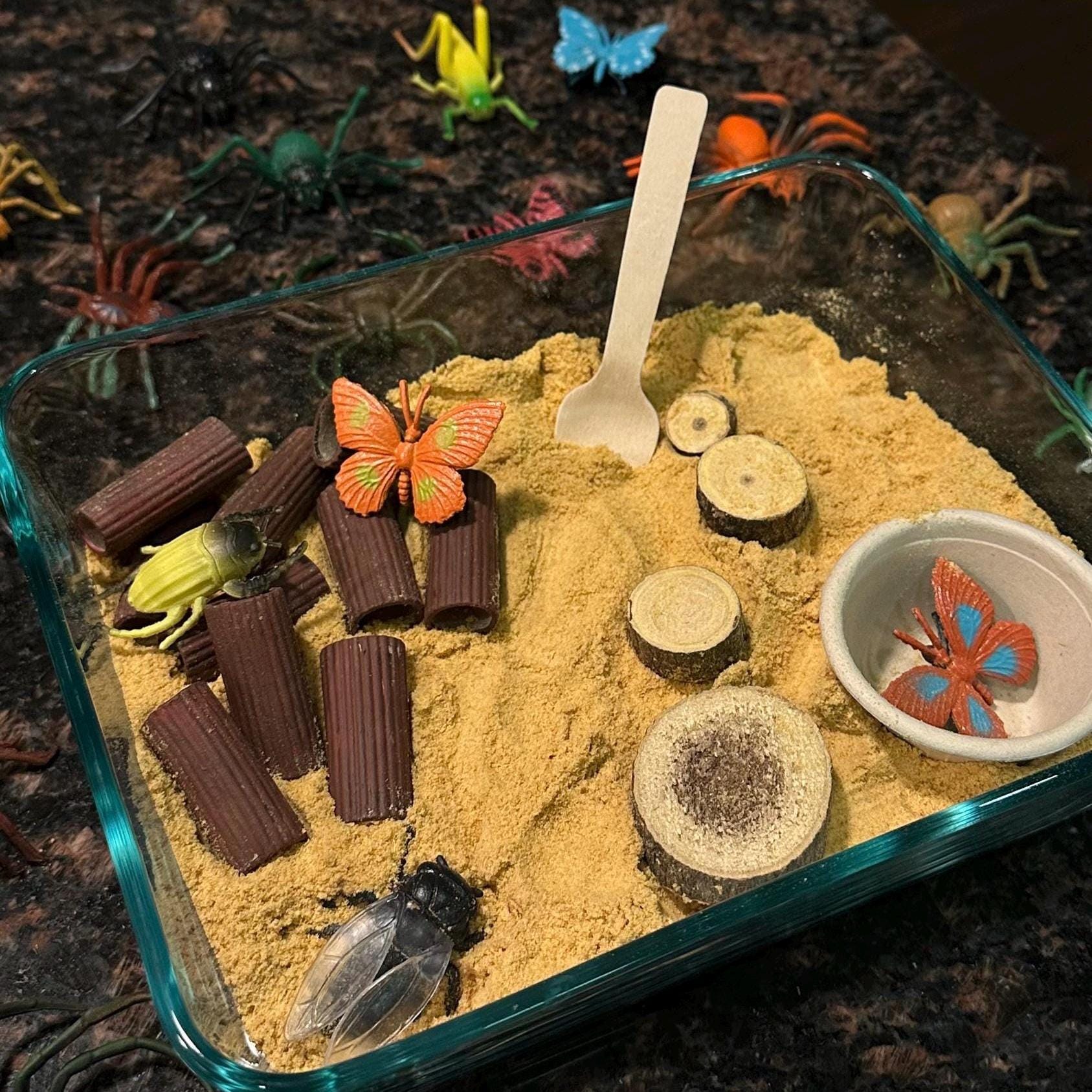 Bugs, Bugs, Bugs Sensory Bin, Play Based Learning, Bug Activity ...