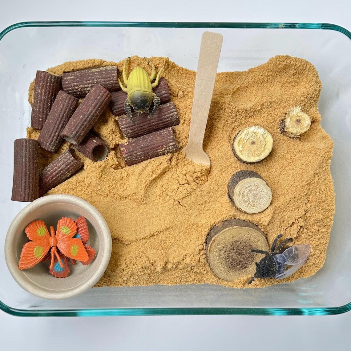 Bugs, Bugs, Bugs Sensory Bin, Play Based Learning, Bug Activity ...