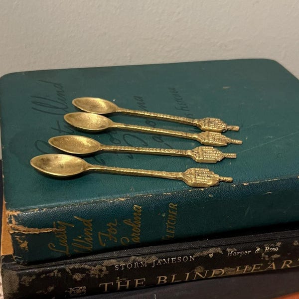 Brass Salt Spoon - Etsy