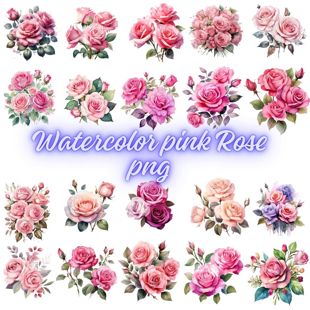 Watercolor Pink Rose Clipart, Floral PNG Bundle (digital Download) - Etsy