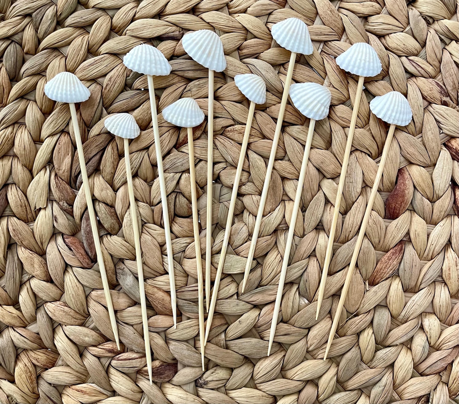 Shell Toothpicks for Cocktails or Martinis, Seashell Appetizer Picks - Etsy