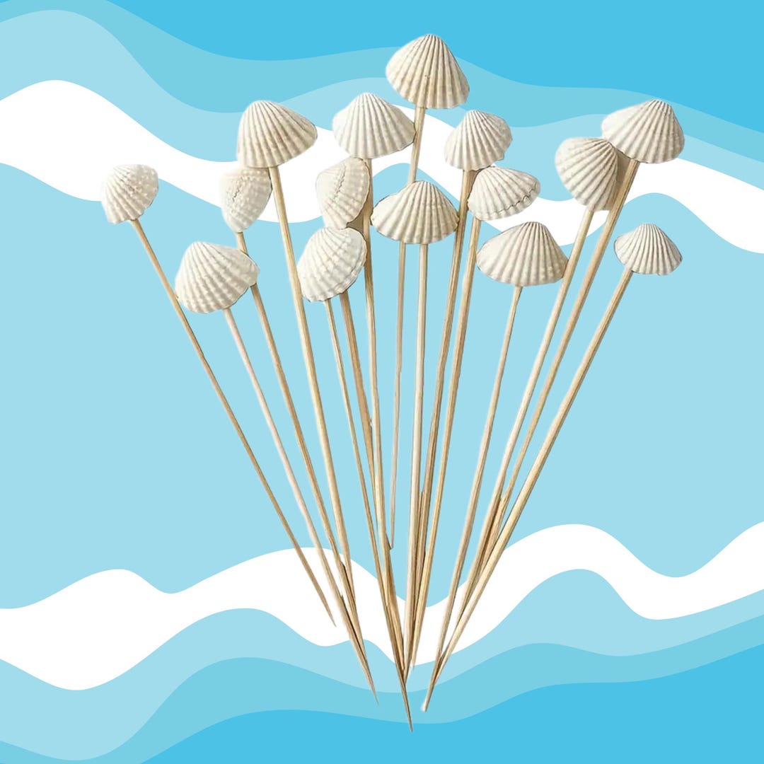 Shell Toothpicks for Cocktails or Martinis, Seashell Appetizer Picks - Etsy