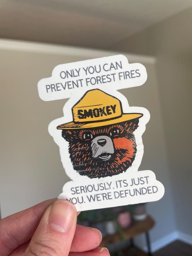 Smokey Bear Sticker – Only You Can Prevent Wildfires – Vintage ...