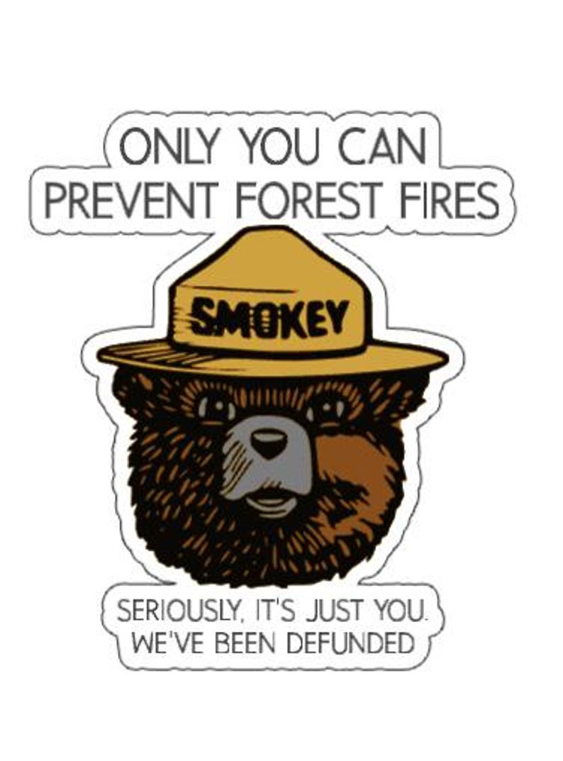 Smokey Bear Sticker – Only You Can Prevent Wildfires – Vintage ...