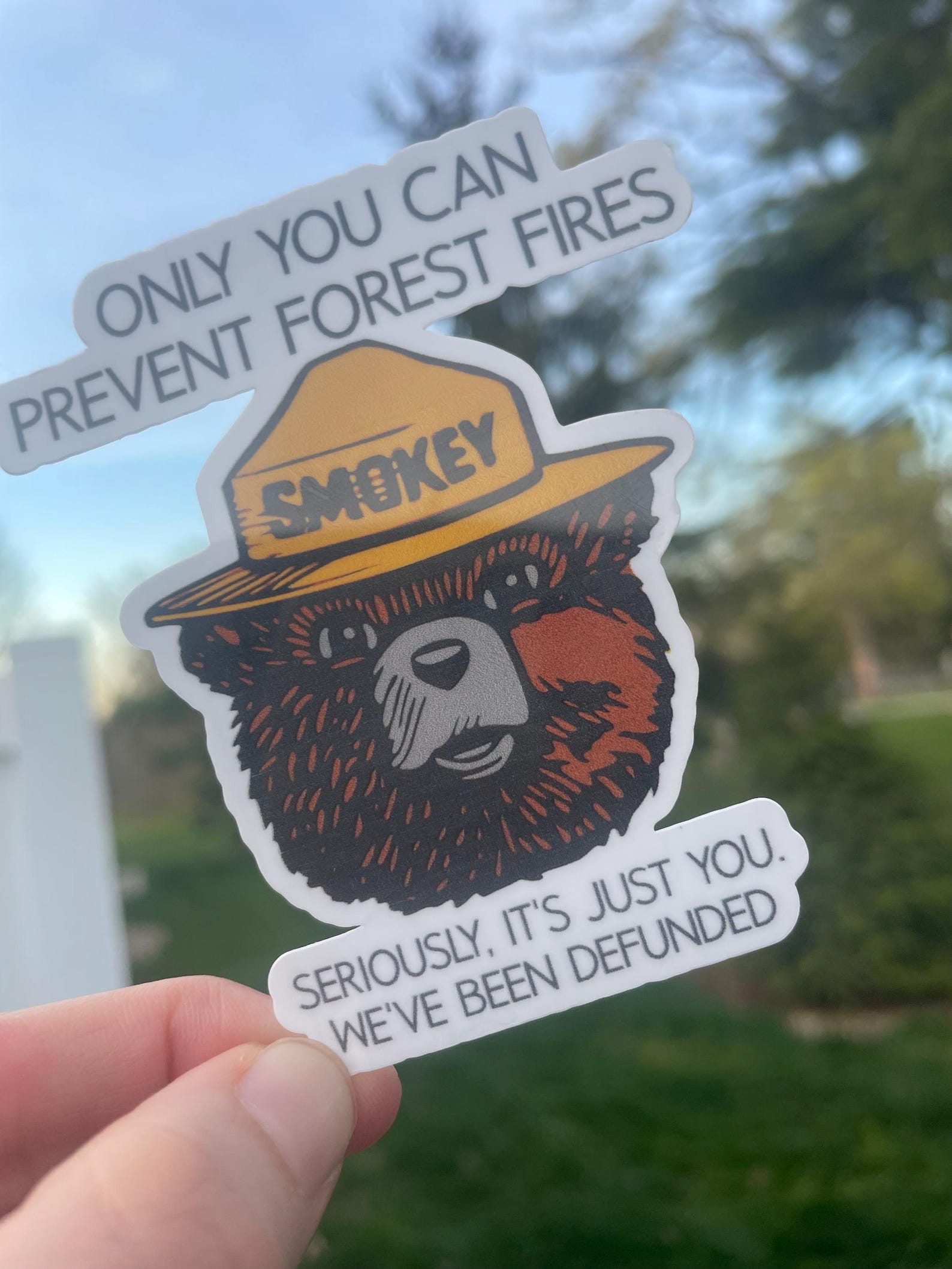 Smokey Bear Sticker – Only You Can Prevent Wildfires – Vintage ...