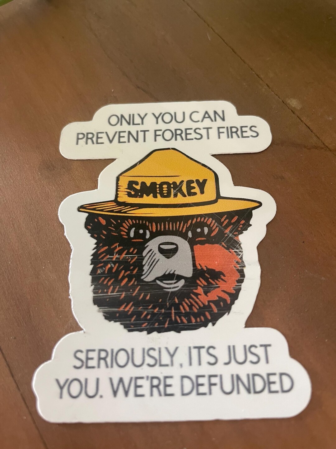Smokey Bear Sticker – Only You Can Prevent Wildfires – Vintage ...