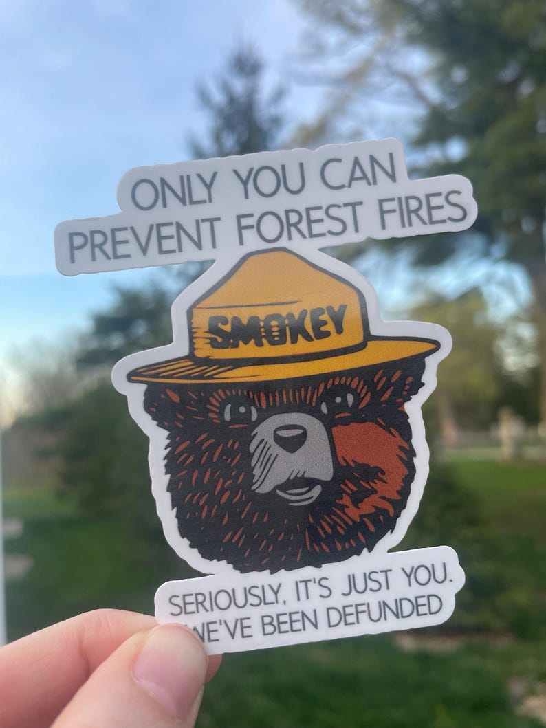 Smokey Bear Sticker – Only You Can Prevent Wildfires – Vintage ...