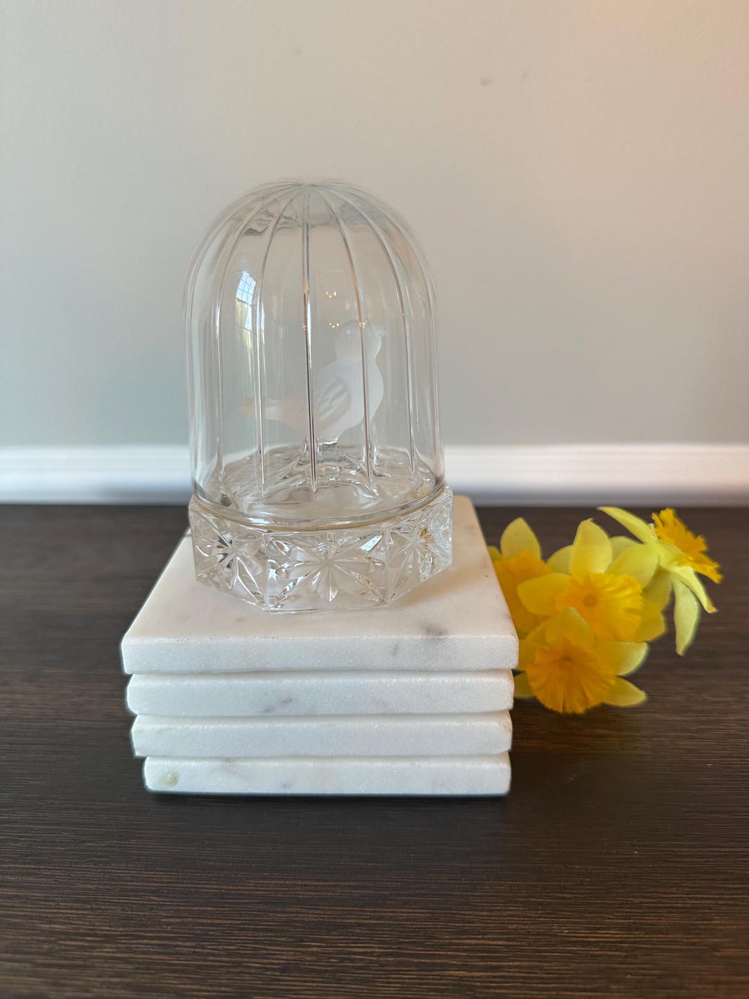 Hofbauer Byrdes Lead Crystal Bird in Cage Paperweight Frosted Bird - Etsy