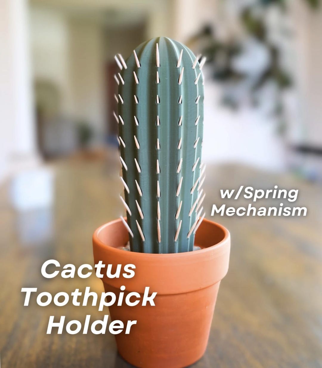 Cactus Toothpick Dispenser – Fun & Functional! - Etsy