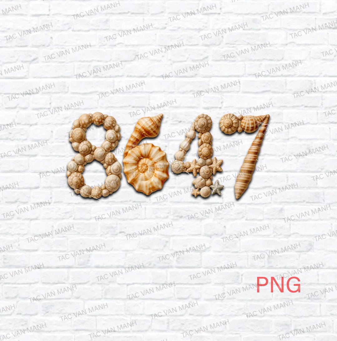 Anti Trump 8647 Seashells Png, Seashells at the Beach Png, Trump ...