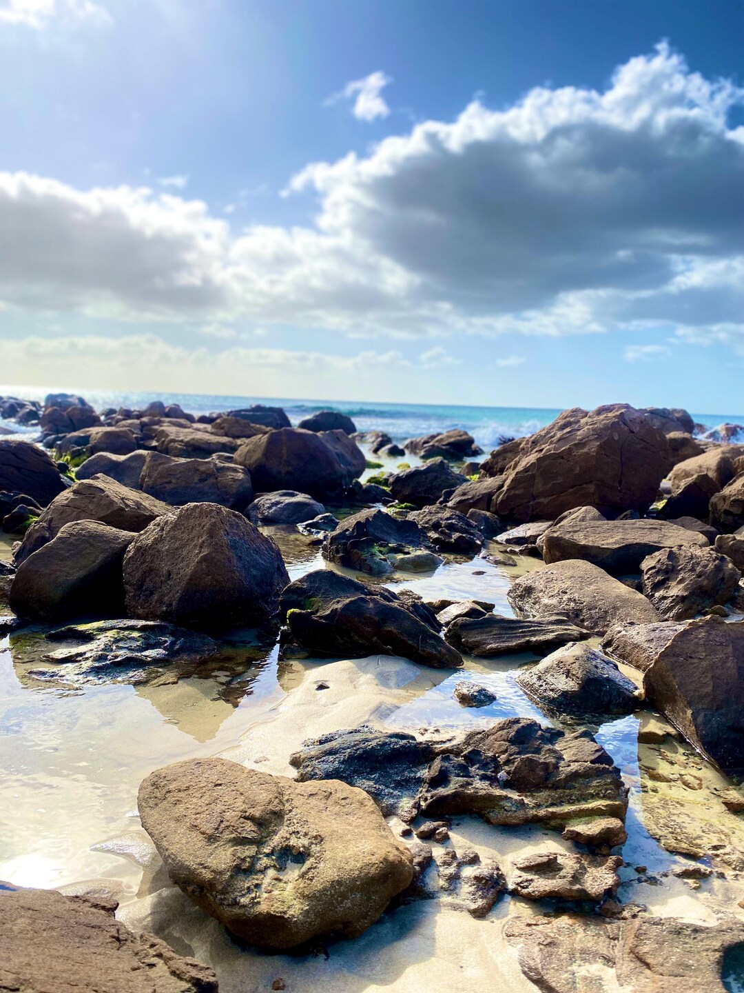 Western Australian Rock Pool - Etsy