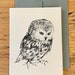 OWL Series: Set of 4 Cards With Envelopes size A2 - Etsy