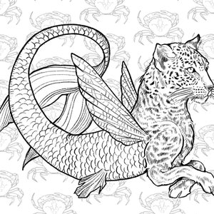 Mer-cat Coloring Pages! - Etsy