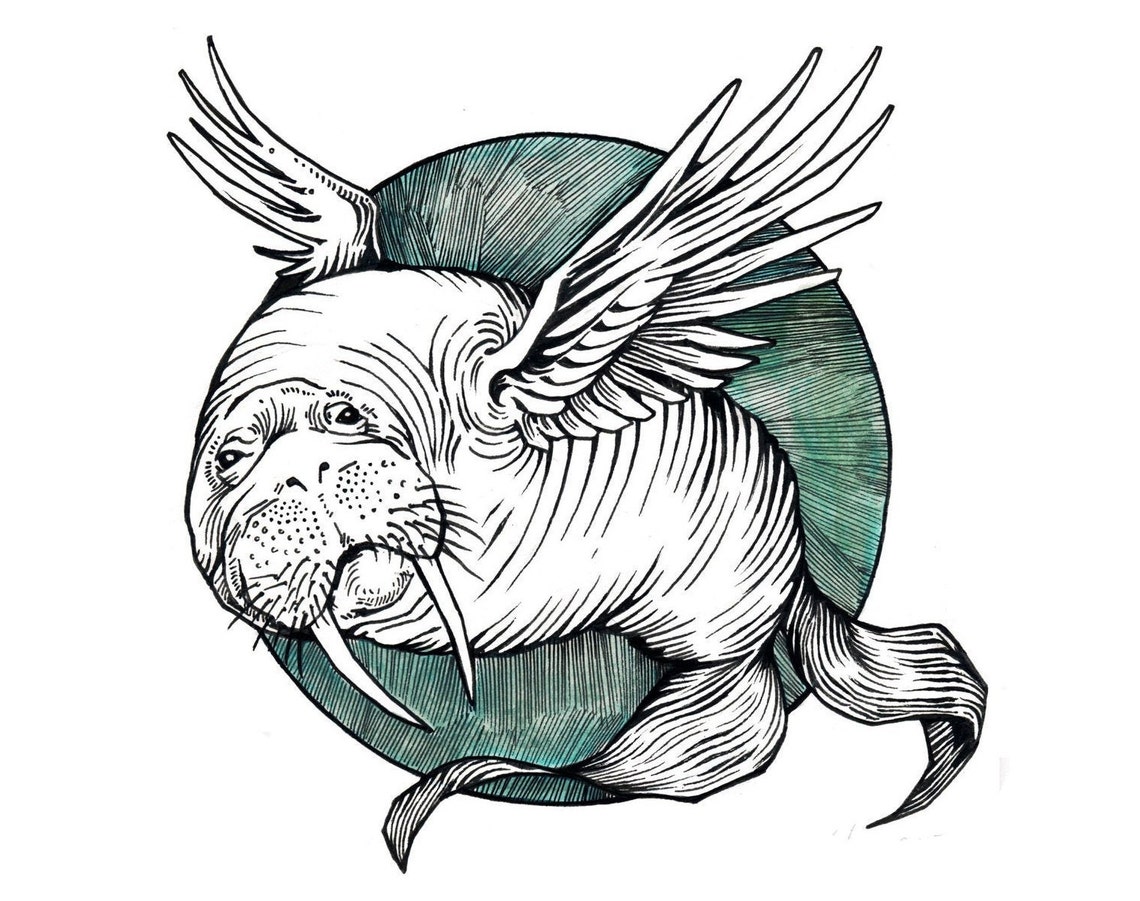 Flying Walrus Print 8"x 10" - Etsy