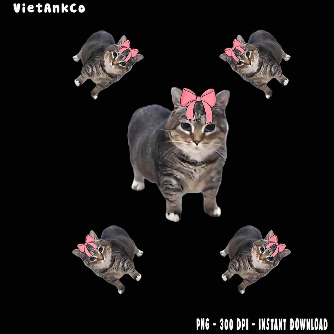 Oia Cat Meme I Wake up Engage in Tomfoolery Oiia Cat Coquette Png, Cat ...