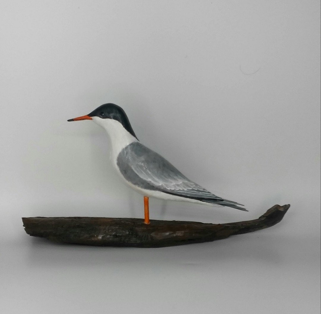 Handsculpted Polymer Common Tern Table Mount - Etsy