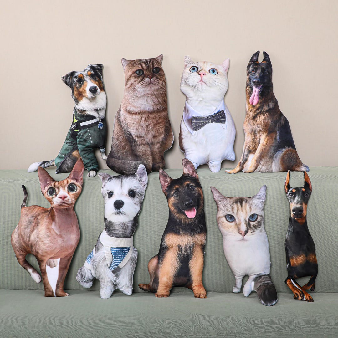 Personalized Ugly Pet Pillows, Cat Pillows, Dog Pillows, Custom Pet ...