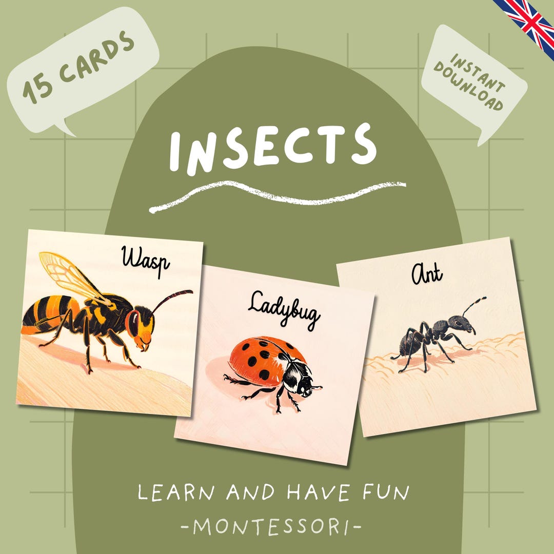 ENGLISH | Vocabulary Cards – Insects | Printable Montessori ...