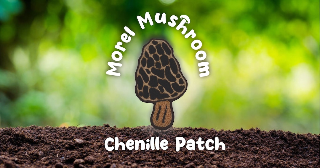 Morel Mushroom Patch - Etsy