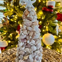 Jingle Shells From Florida. - Etsy