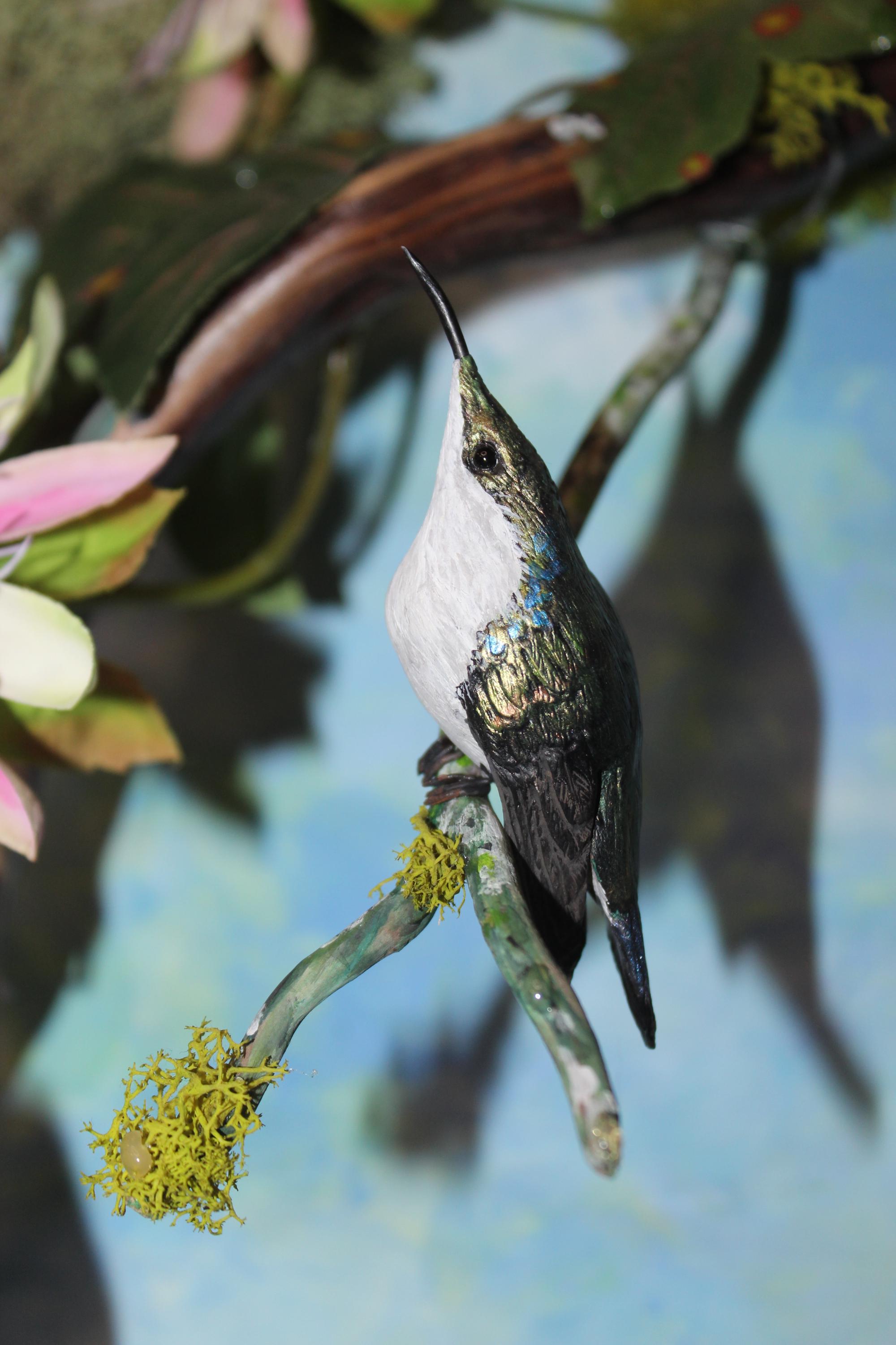 Handmade Life-size Hummingbirds. Crowned Woodnymph. - Etsy