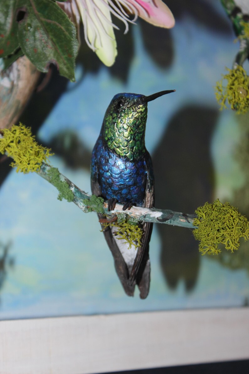 Handmade Life-size Hummingbirds. Crowned Woodnymph. - Etsy