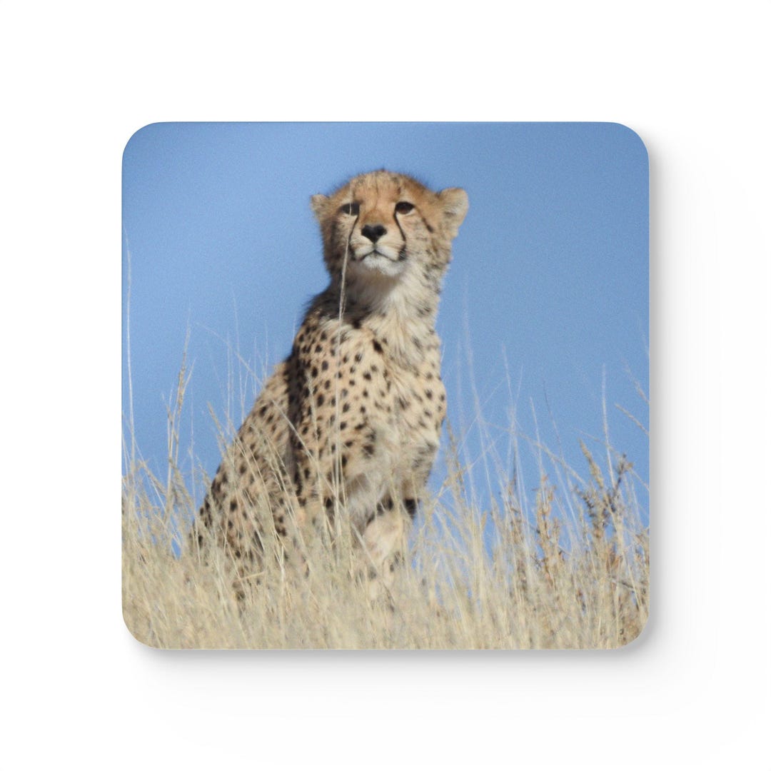 Coaster Set, Cheetah Design, Animal Print Drink Coasters, Safari Decor ...
