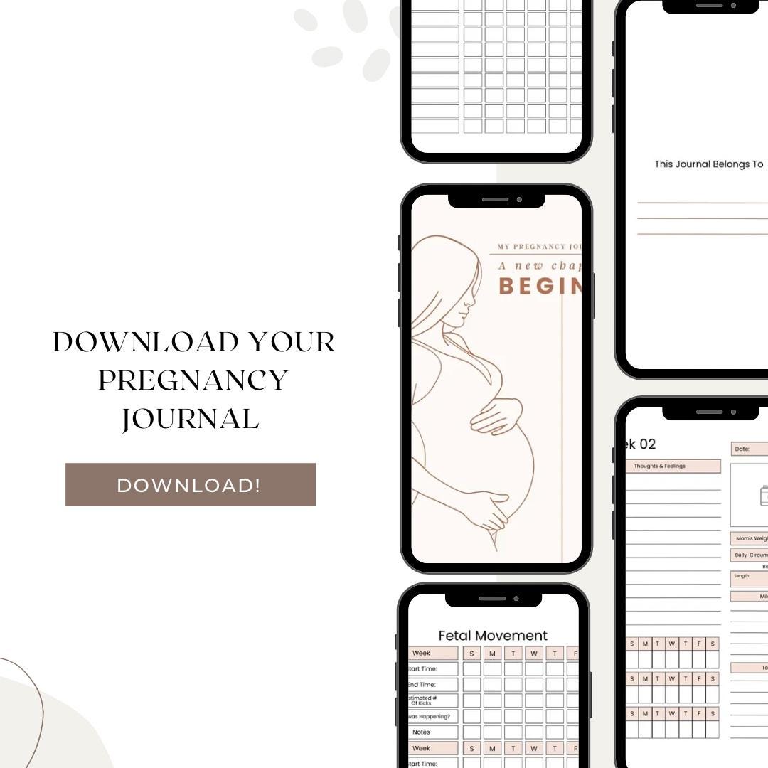 Digital Pregnancy Journal | Printable Maternity Planner | Trimester ...