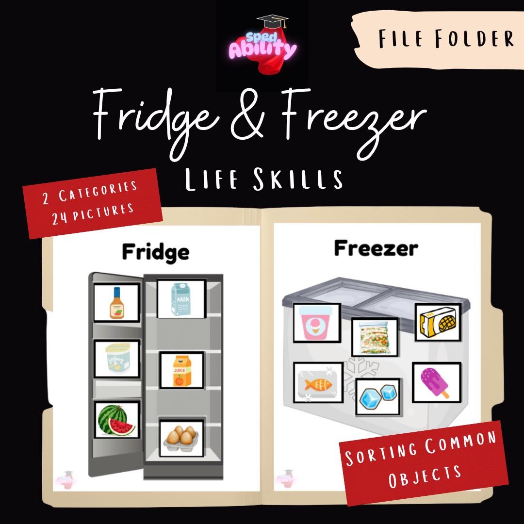 FILE FOLDER Activity | Life Skills | Fridge & Freezer Grocery Sorting ...