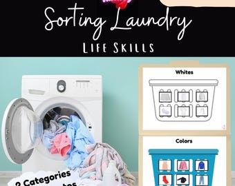 FILE FOLDER Activity | Life Skills | Sorting Laundry by Color | Special ...