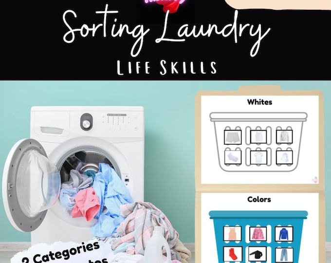 FILE FOLDER Activity | Life Skills | Sorting Laundry by Color | Special ...