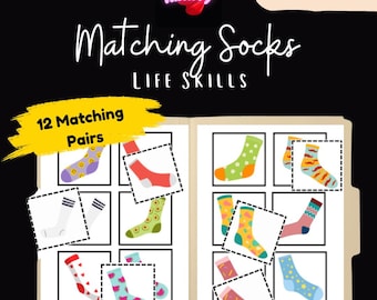 FILE FOLDER Activity | Life Skills | Sorting Laundry by Color | Special ...