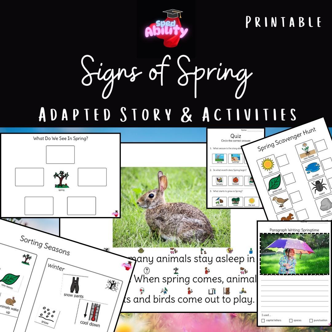 Spring Adapted Story & Activities | Reading Comprehension | Sorting ...