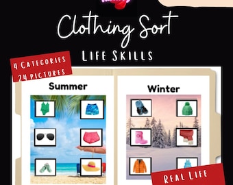 FILE FOLDER Activity | Life Skills | Sorting Laundry by Color | Special ...
