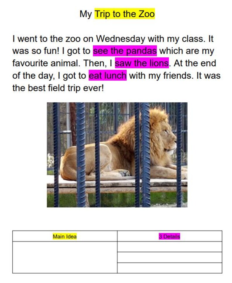 Main Idea & Details Passages | Printable Reading Comprehension Activity ...
