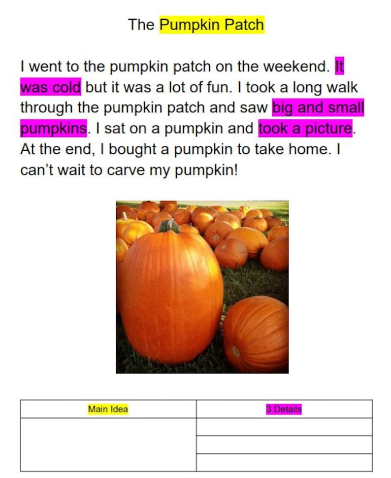 Main Idea & Details Passages | Printable Reading Comprehension Activity ...