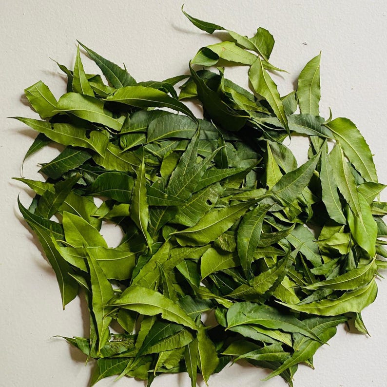 Neem Leaves Pack, 200+natural Jamaican Neem Leaves Cut , Dried ...
