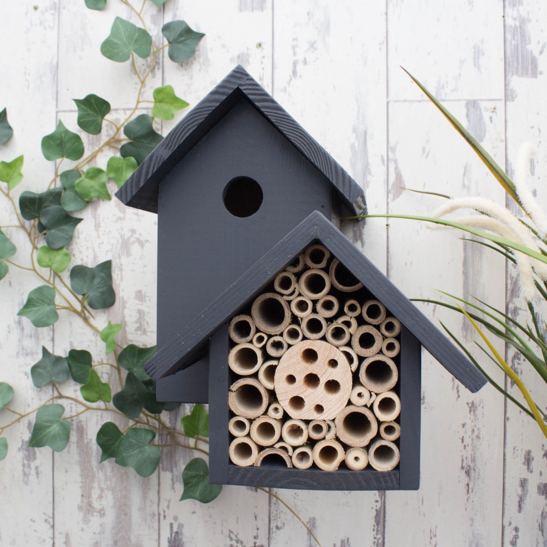 The Perfect Christmas Gift the Birds and the Bees Bird Box & - Etsy
