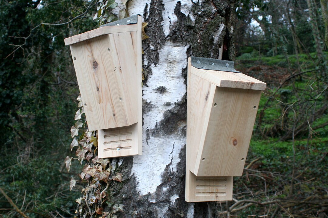 Build Your Own Bat Box Kit - Etsy