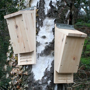 Build your own Bat Box Kit | Etsy