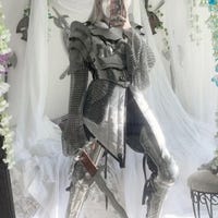 Lady Knight Steel Tassets Armor: Chainmail, LARP Cosplay - Etsy Canada