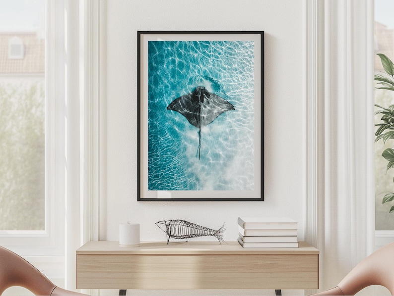 Eagle Ray Aerial Print: Coastal Ocean Photography, Marine Life Art - Etsy