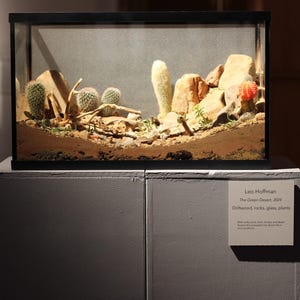 Custom 10-gallon Desert Terrarium – Arid Landscape Vivarium – Succulent ...